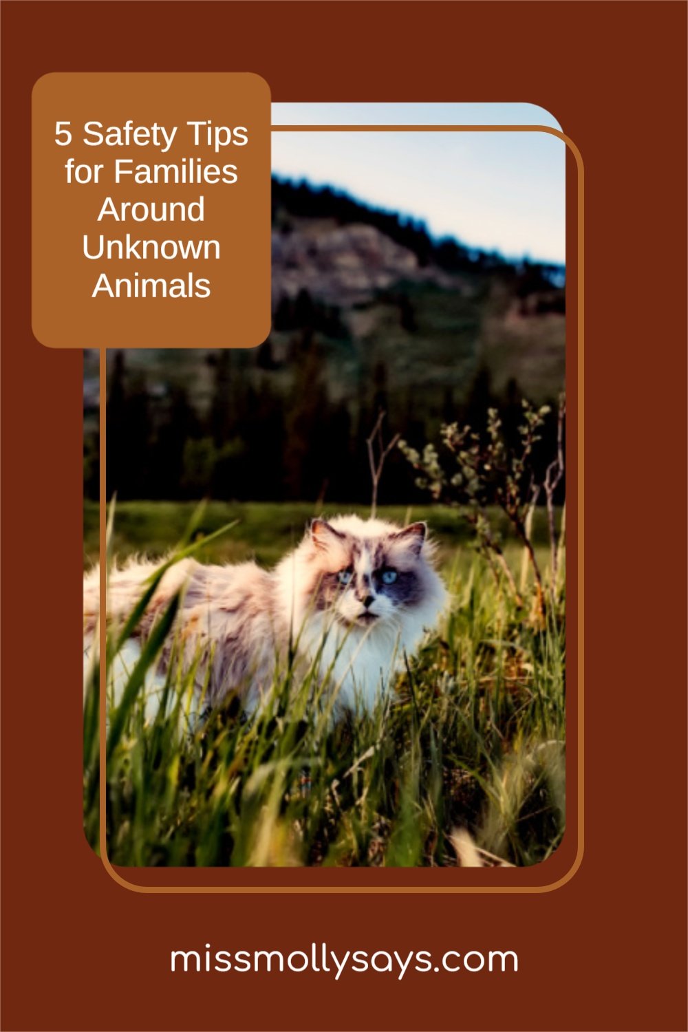 5 Safety Tips for Families Around Unknown Animals