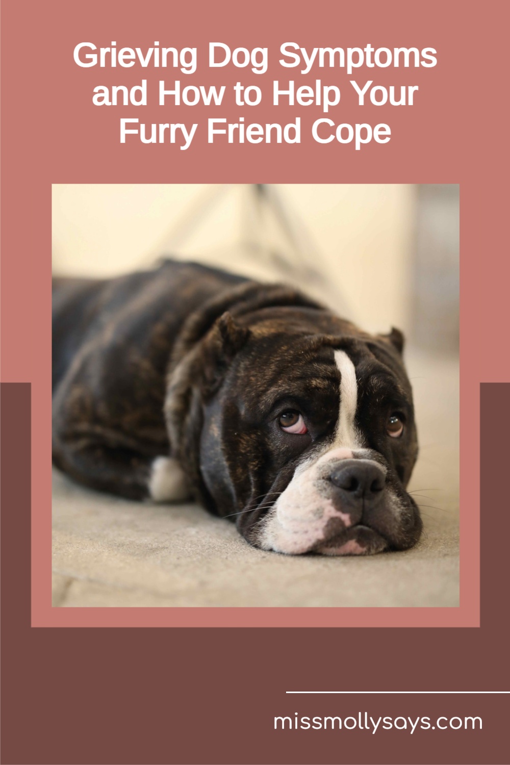 Grieving Dog Symptoms and How to Help Your Furry Friend Cope