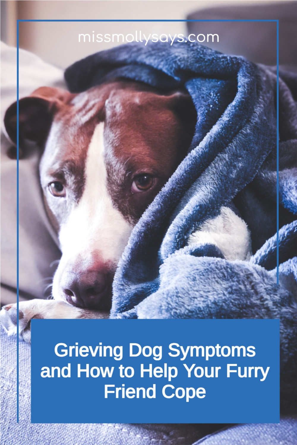 Grieving Dog Symptoms and How to Help Your Furry Friend Cope