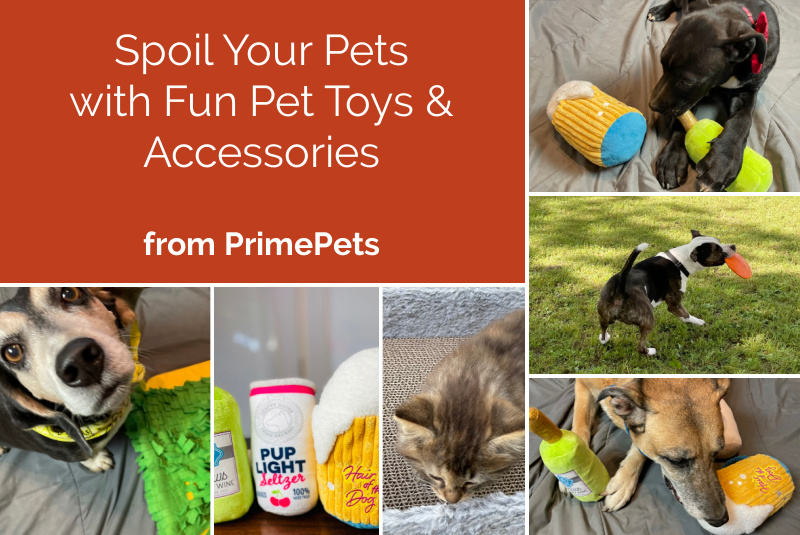 Spoil Your Pets with Fun Pet Toys & Accessories from PrimePets