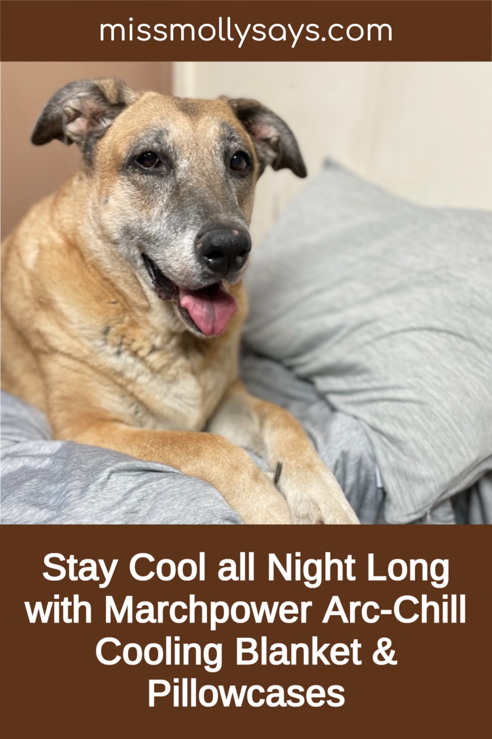 Stay Cool All Night Long with Marchpower Arc-Chill Cooling Blanket