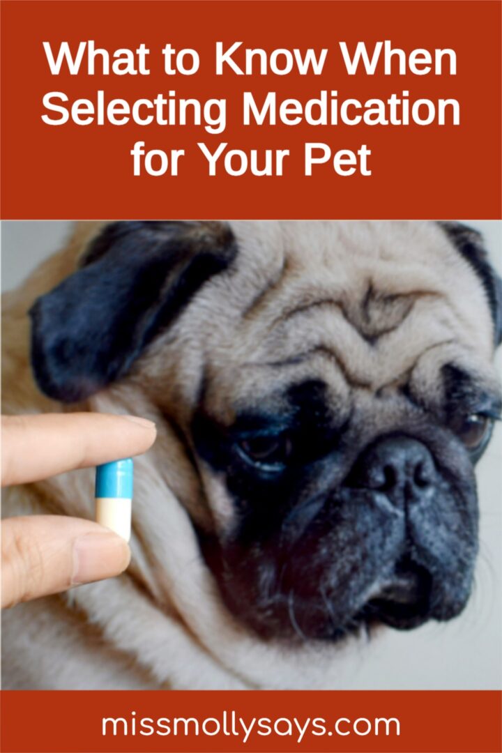 What to Know When Selecting Medication for Your Pet