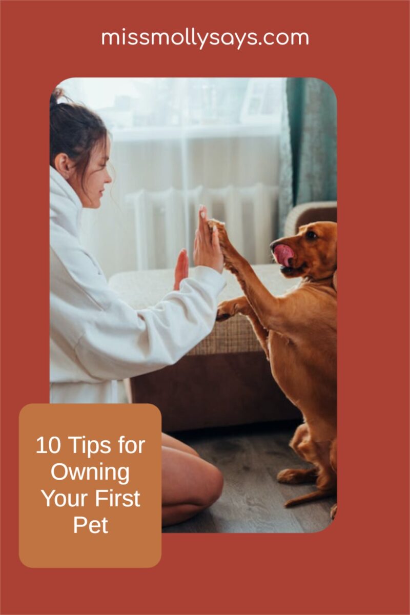 10 Tips for Owning Your First Pet - Miss Molly Says