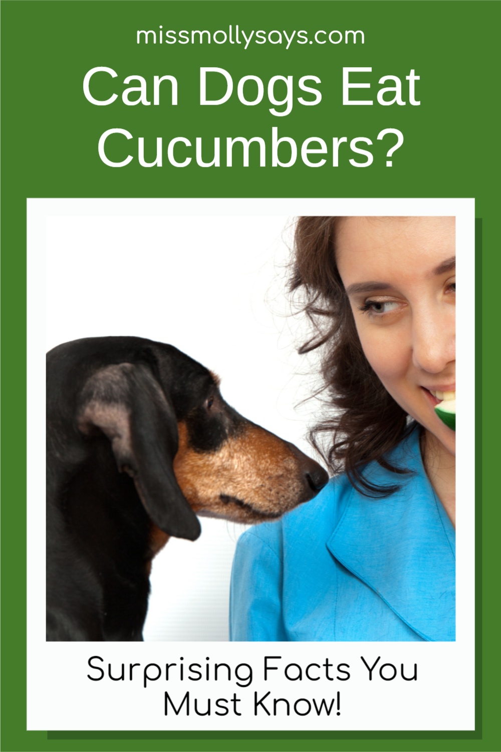 Can Dogs Eat Cucumbers? Surprising Facts You Must Know! - Miss Molly Says