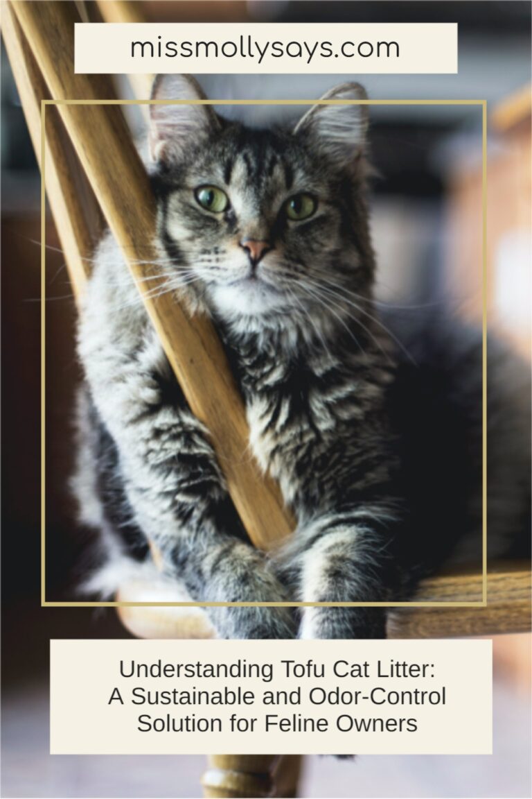 Understanding Tofu Cat Litter: A Sustainable and Odor-Control Solution