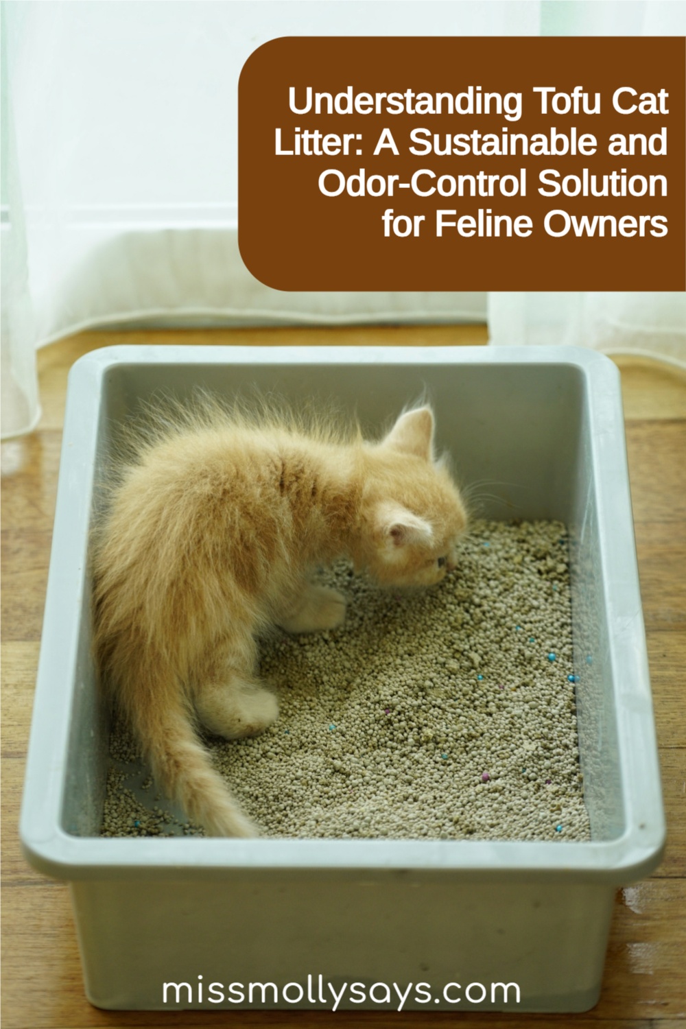 Understanding Tofu Cat Litter: A Sustainable and Odor-Control Solution