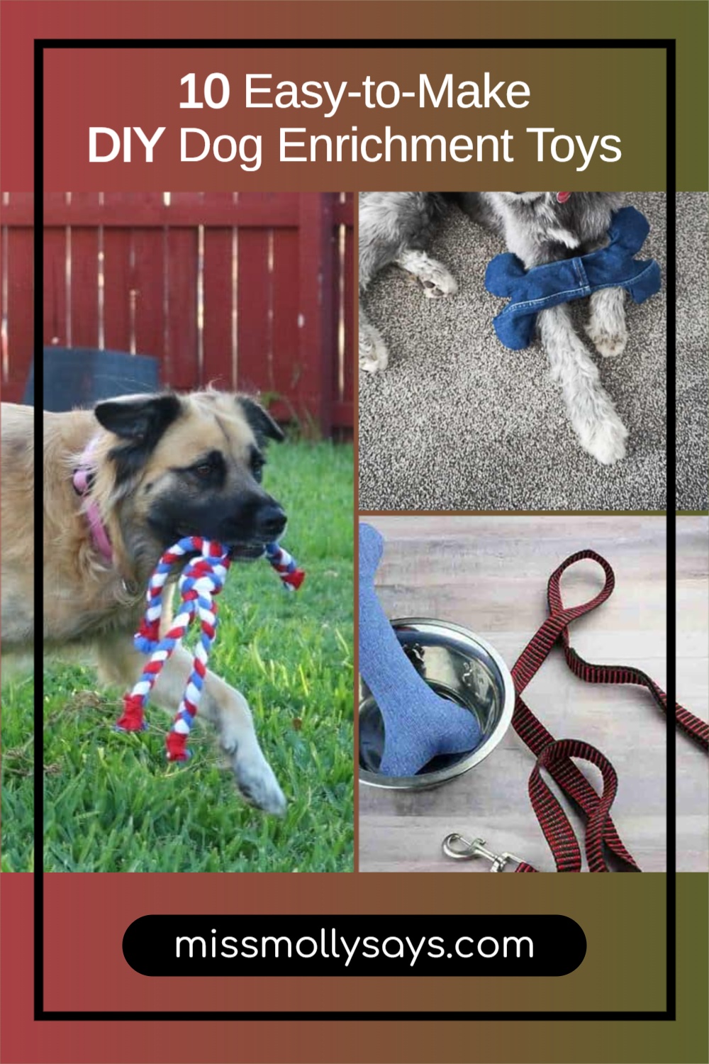 Keep Your Dog Busy with DIY Dog Enrichment Toys