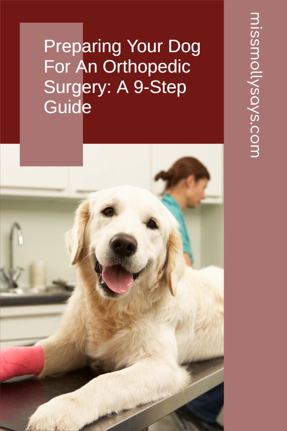 Preparing Your Dog For An Orthopedic Surgery: A 9-Step Guide