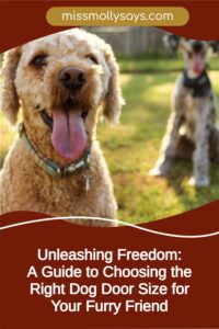 A Guide to Choosing the Right Dog Door Size for Your Furry Friend