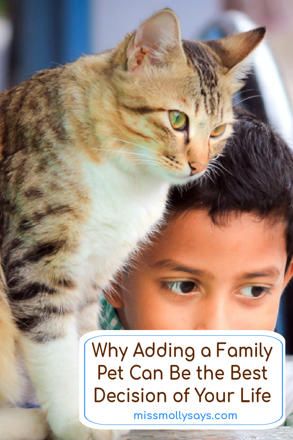 Why Adding a Family Pet Can Be the Best Decision of Your Life