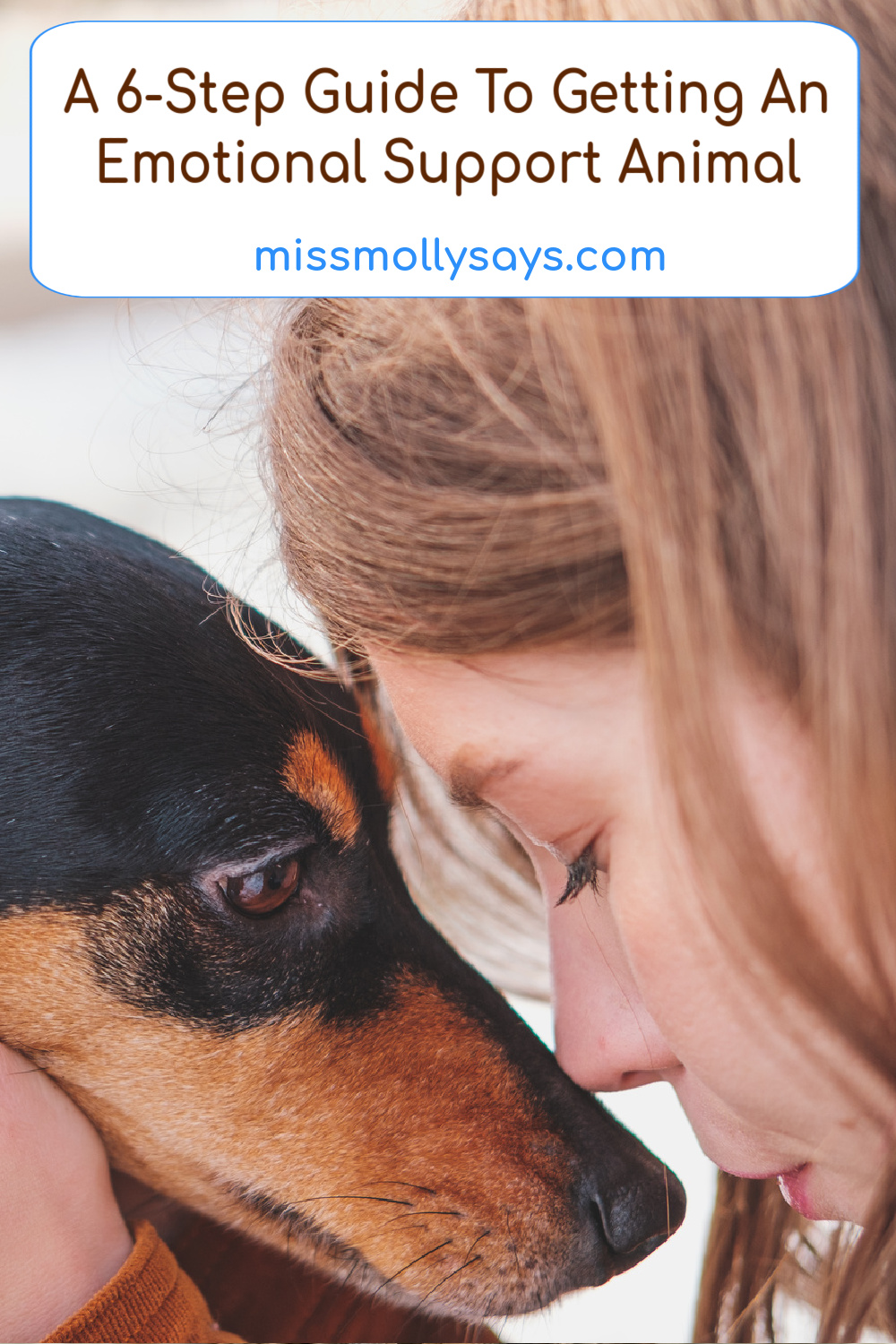 A 6-Step Guide To Getting An Emotional Support Animal - Miss Molly Says