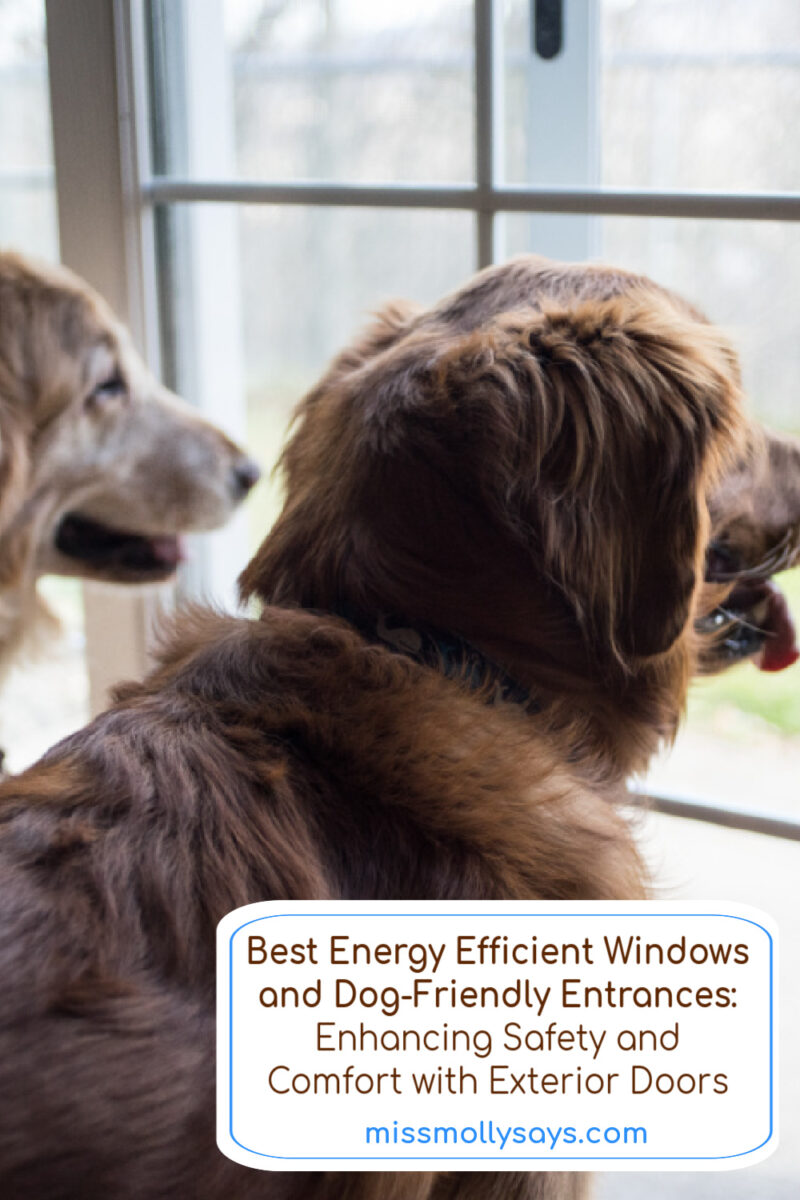 Best Energy Efficient Windows and Dog-Friendly Entrances - Miss Molly Says