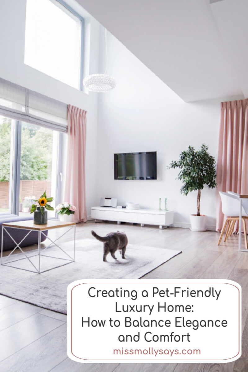 Creating a Pet-Friendly Luxury Home: How to Balance Elegance and Comfort