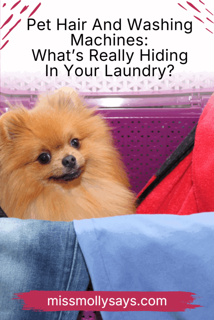 Pet Hair And Washing Machines: What’s Really Hiding In Your Laundry?