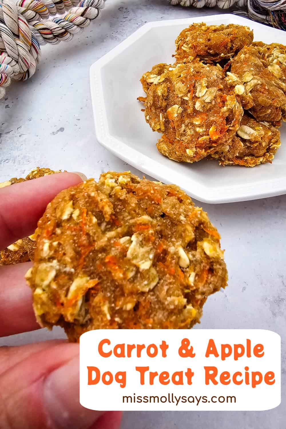 Carrot and Apple Dog Treat Recipe Your Dog Will Love - Miss Molly Says