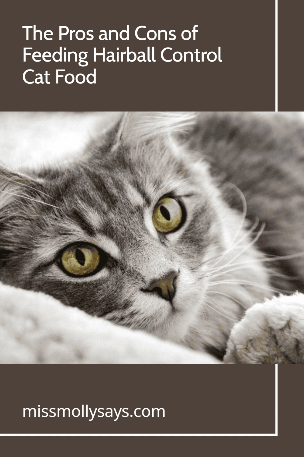 The Pros and Cons of Feeding Hairball Control Cat Food